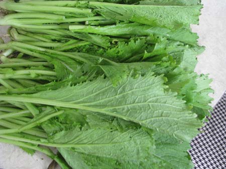 Cải đắng Lào Cai, Món ngon Cải đắng Lào Cai, Đặc sản Cải đắng Lào Cai ...