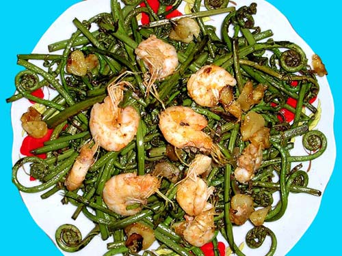 Đọt choại U Minh Cà Mau, Đọt choại U Minh, dot choai u minh ca mau
