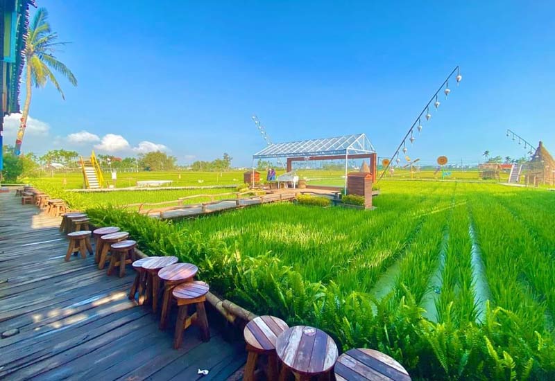 Chic Chillax | Quán cà phê view "cánh đồng bất tận" ở Hội An